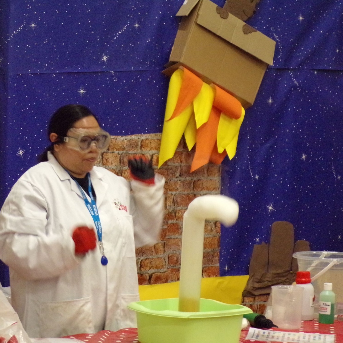 The Willows School Academy Trust - Science Boffins